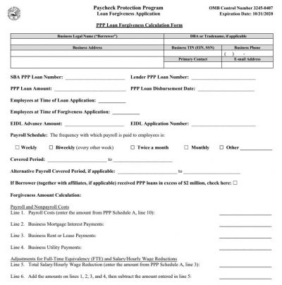 Paycheck Protection Program Loan Forgiveness Application | ACTSmart IT